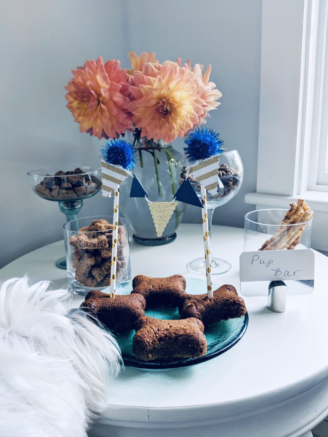 How to Plan a Happy Barkday Party for Your Dog - Properly Posh Pets