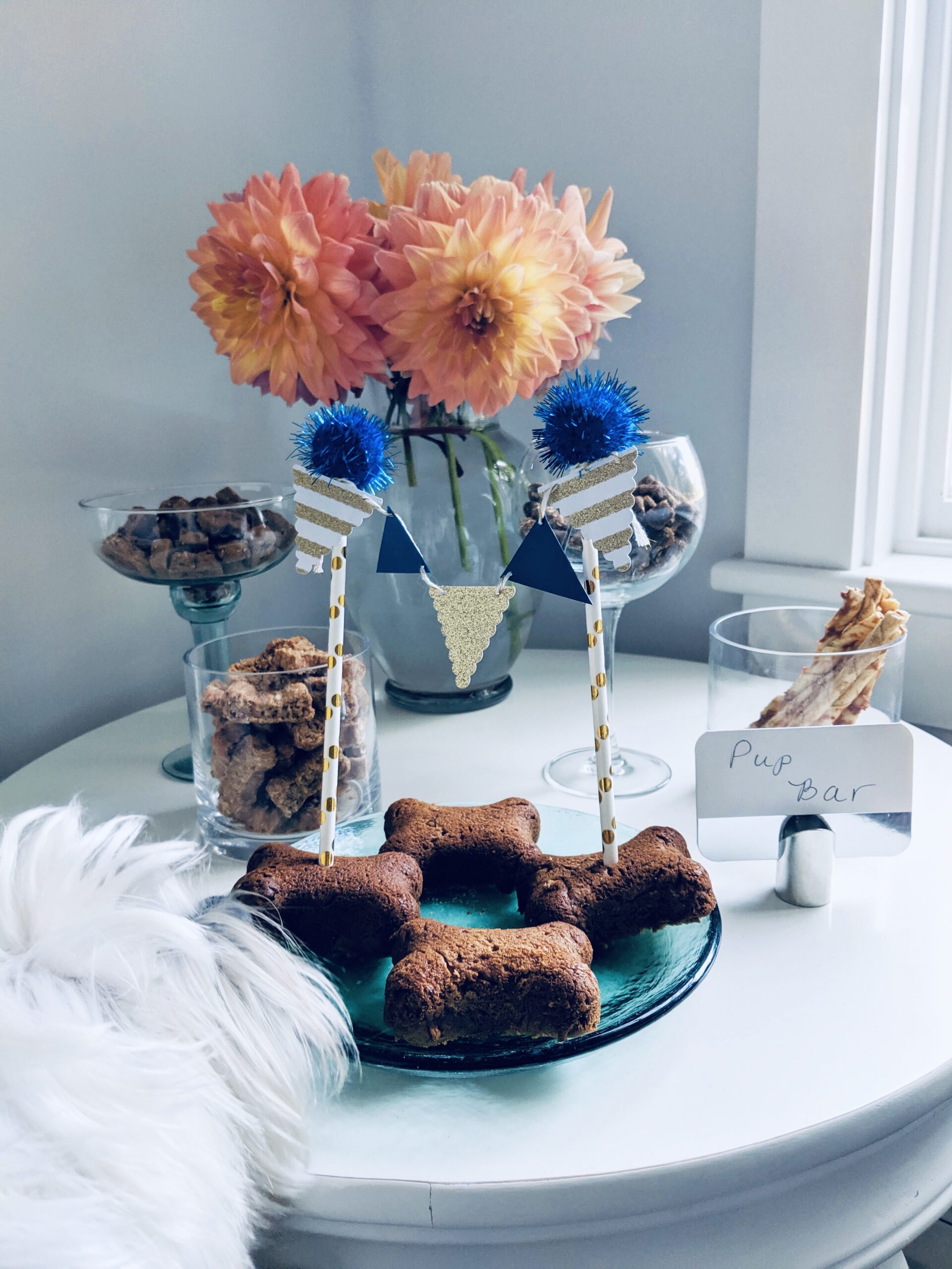 How to Plan a Happy Barkday Party for Your Dog - Properly Posh Pets